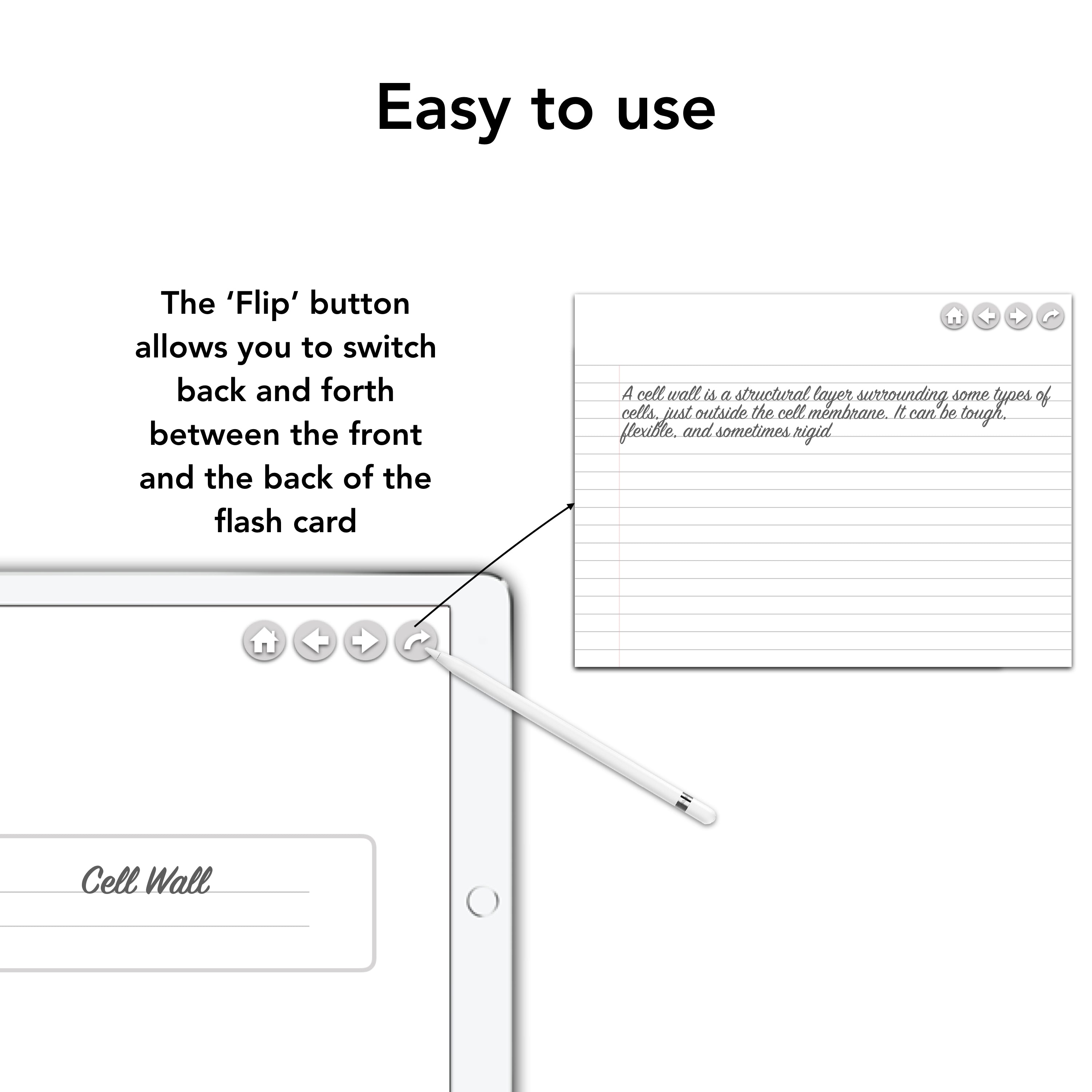 Digital Flash Cards – The Planners Collective